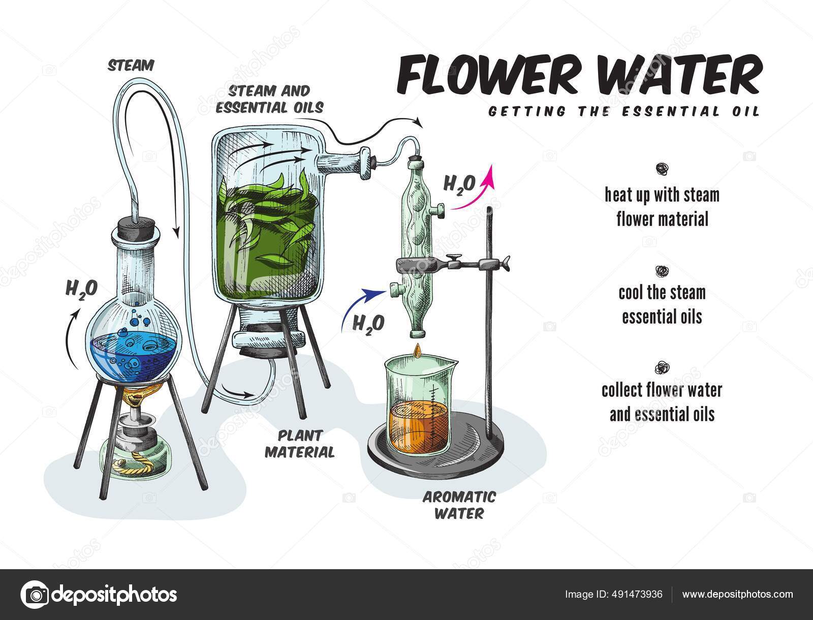 Process production of essential aromatic oil and flower water in ...