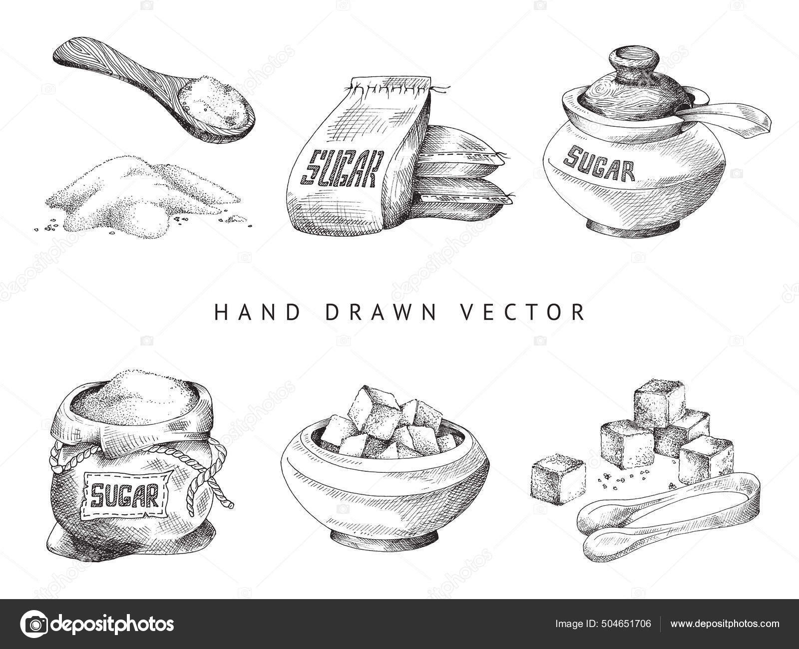Hand drawn sugar items set engraving vintage vector illustration ...