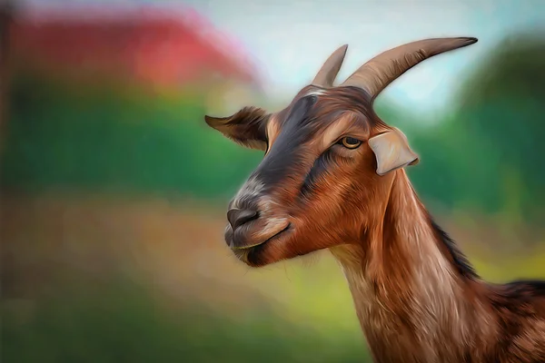 Old goat Stock Photos, Royalty Free Old goat Images | Depositphotos