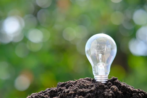 lamp and the soil close up view, environmental concept - Stock Image ...