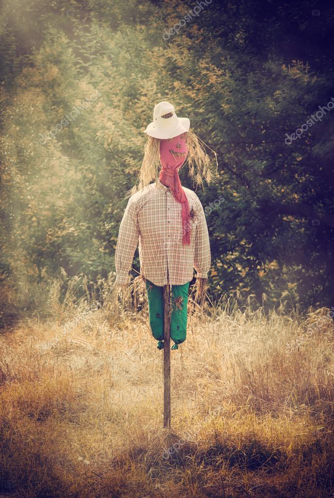 Scarecrow — Stock Photo © AntonioGravante #54634743