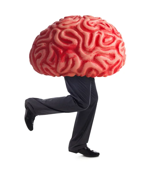 Fake brain Stock Photos, Royalty Free Fake brain Images | Depositphotos