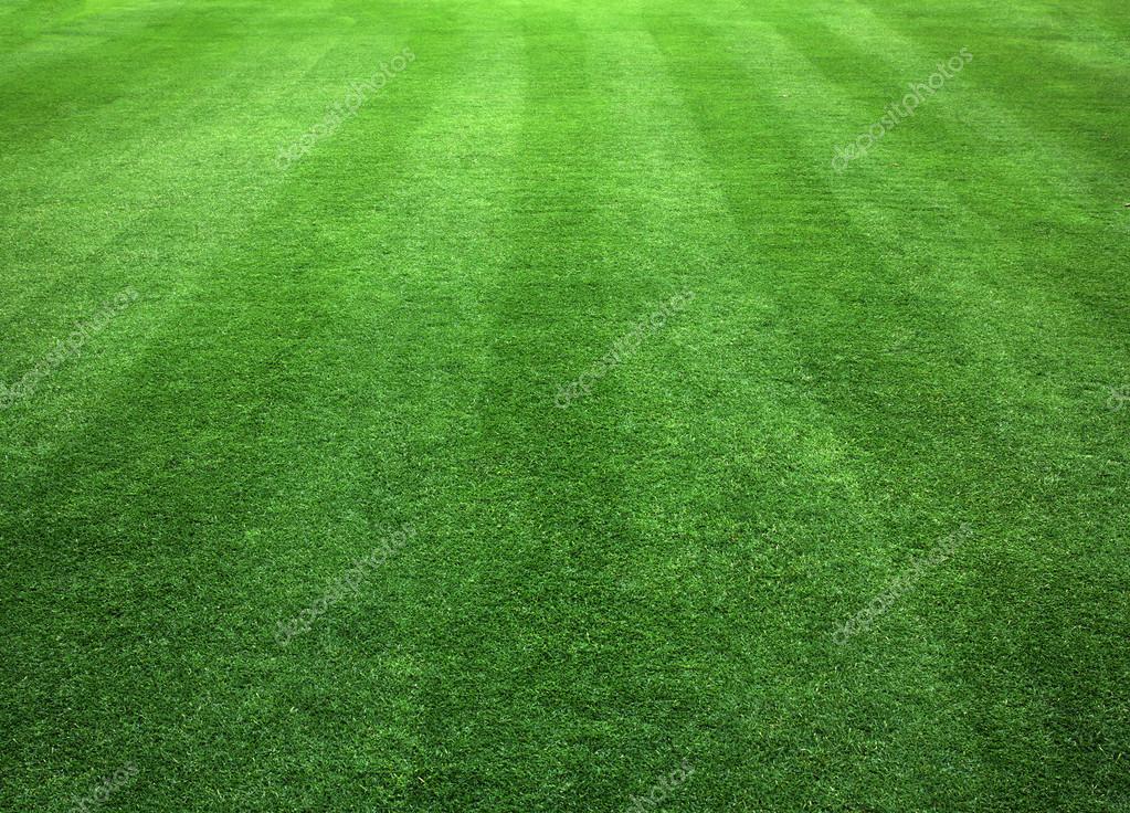 Césped — Foto de stock #52094533 © scenery1