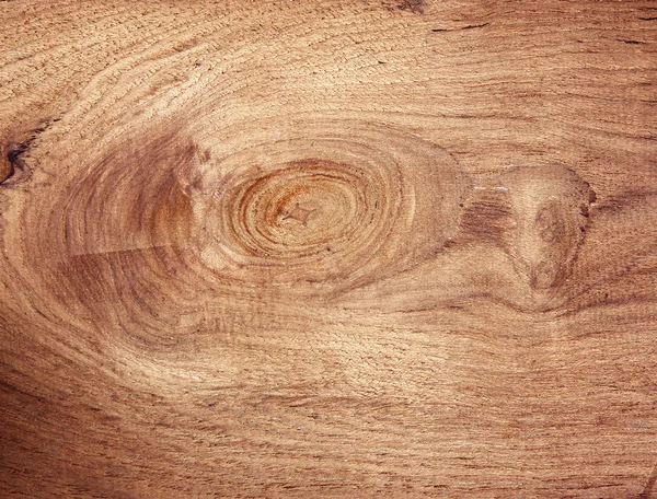 Douglas fir texture Stock Photos, Royalty Free Douglas fir texture ...