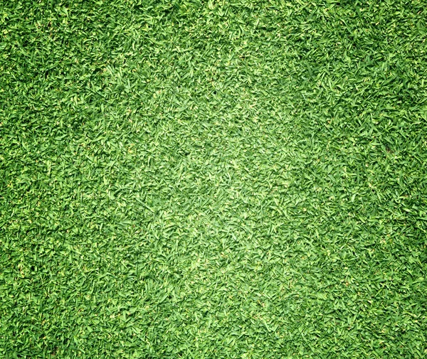 Grass background - golf field — Stock Photo © majaFOTO #3258821