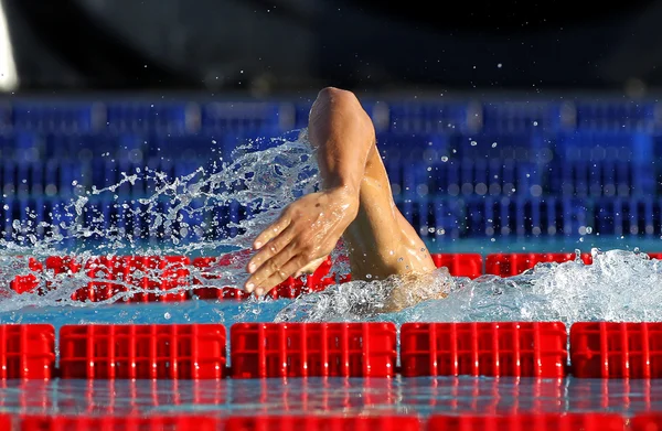 Nageur masculin images libres de droit, photos de Nageur masculin ...