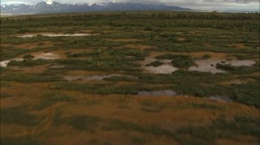 Alaska National Park swamp tundra — Stock Video © Spotmatik #75179423