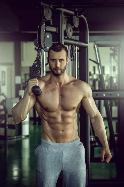 Dumbbell overhead press Stock Photos, Royalty Free Dumbbell overhead ...