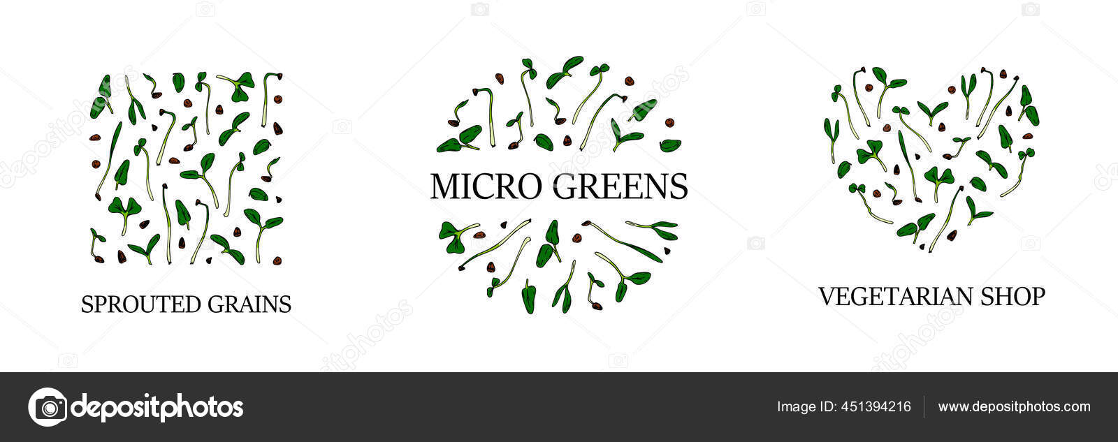 Set Hand Drawn Micro Greens Designs Healthy Vegetarian Vegan Food Stock ...