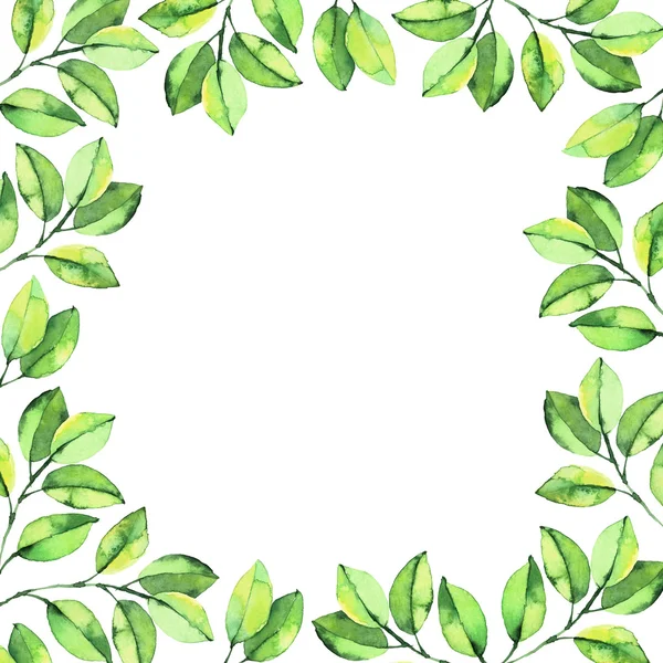 Green leaf watercolor background — Stock Photo © anamad #106954092