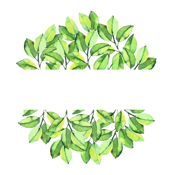 Green leaf watercolor background — Stock Photo © anamad #106954092