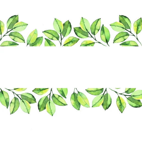 Green leaf watercolor background — Stock Photo © anamad #106954092