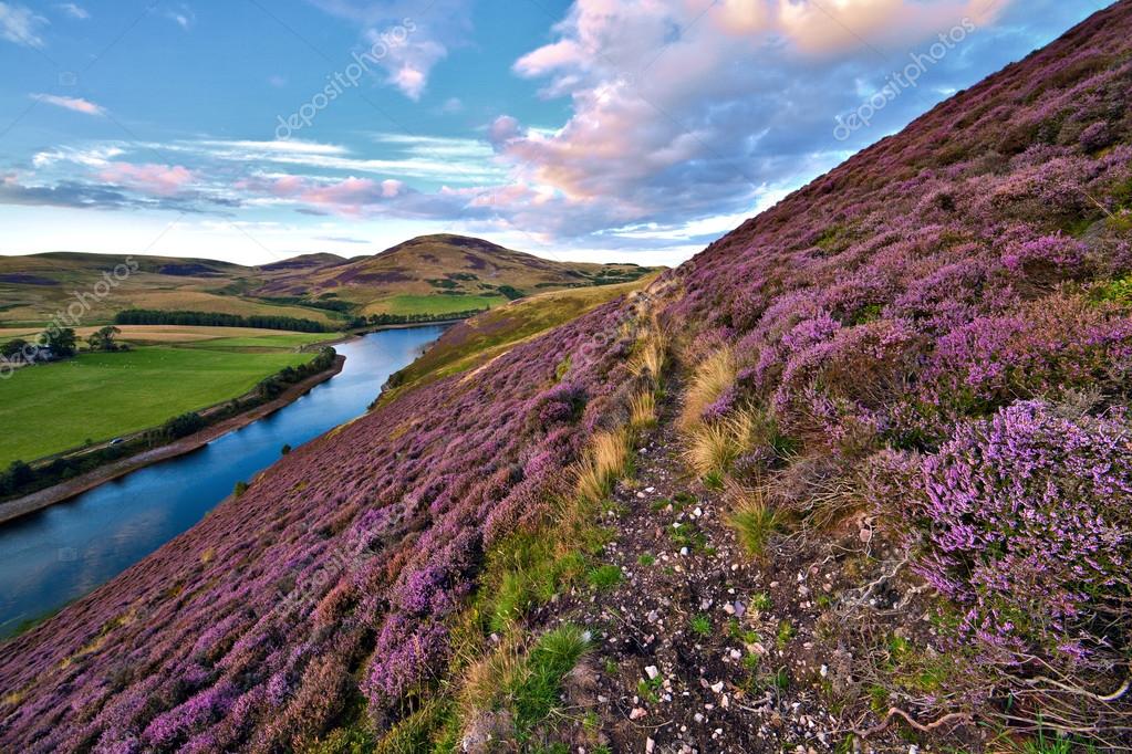 Beautiful landscape of scottish nature Stock Photo by ...