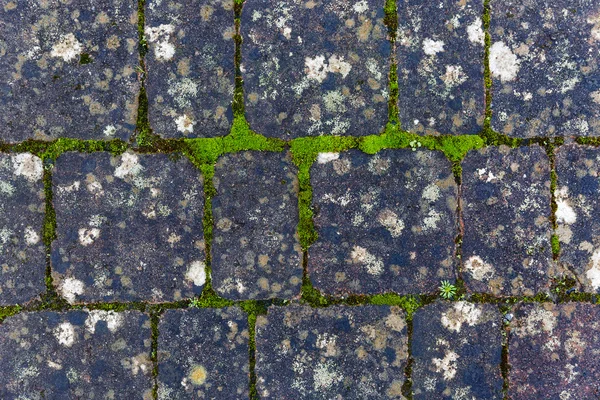Cobblestone way texture — Stock Photo © obencem #107364462