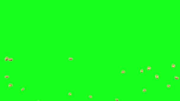 Corazones Oro Creciente Pantalla Verde Croma Clave Amor Animación ...