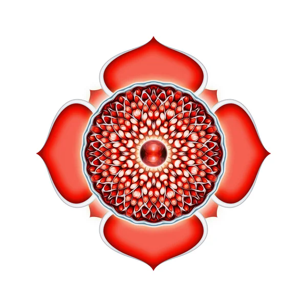 Root Chakra Lotus Flower | Best Flower Site