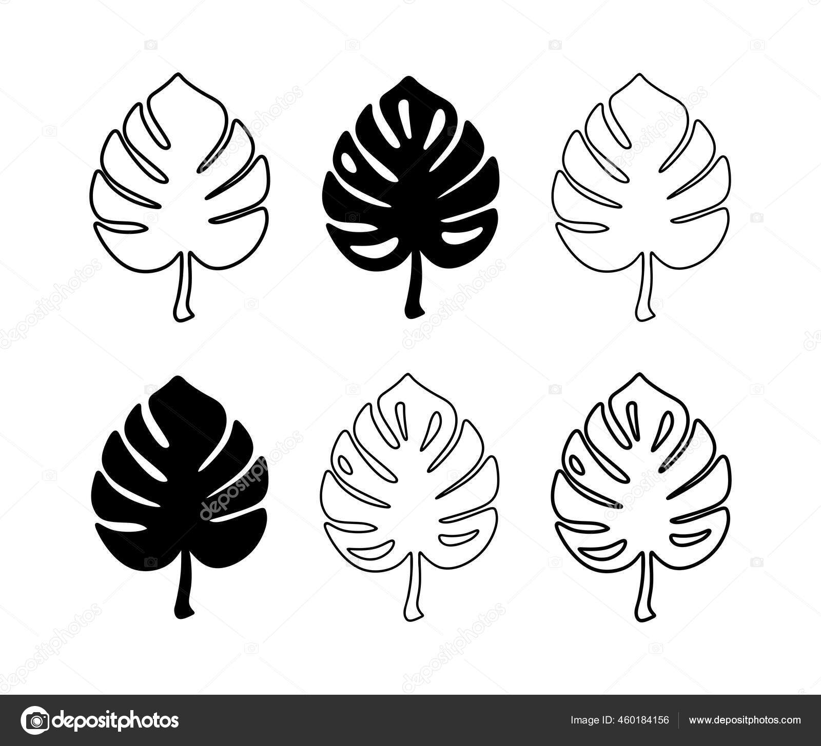 Monstera Leaf Black Silhouette Vector Icon Drawing Tropical Exotic ...