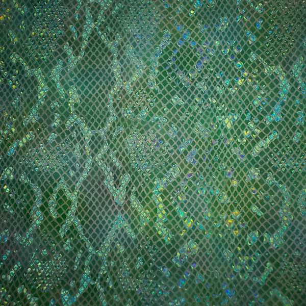 Green snake skin - Stock Image - Everypixel