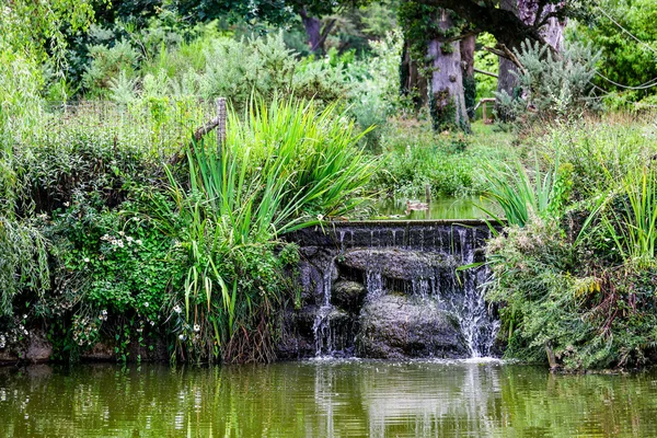 Jardines con agua fotos de stock, imágenes de Jardines con agua sin ...