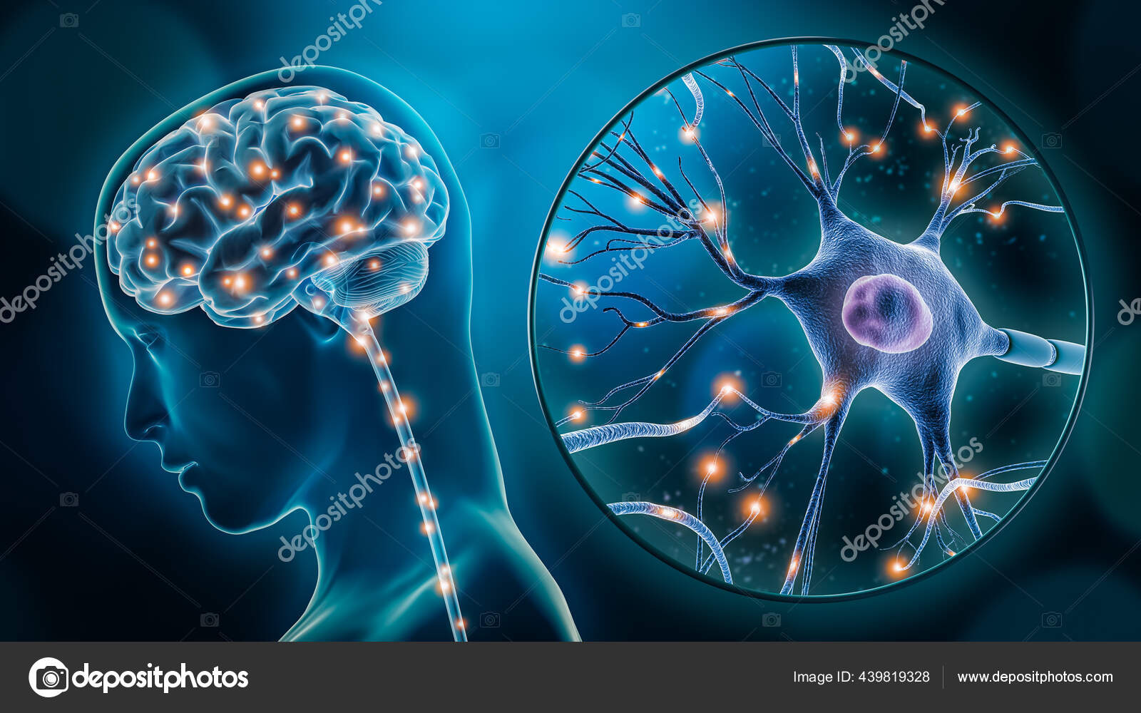 Human Brain Stimulation Activity Neuron Close Rendering Illustration ...