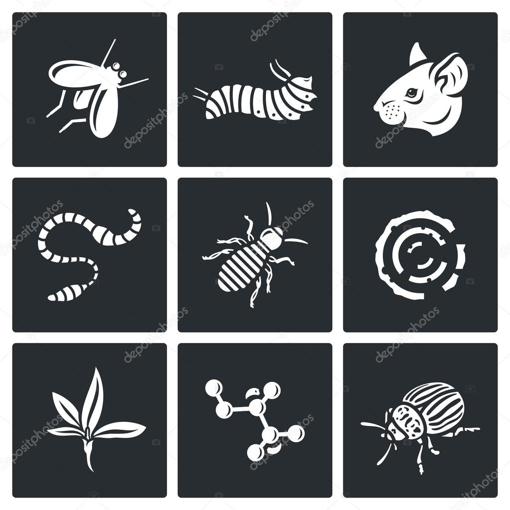 Parasites icons set Stock Vector Image by ©steinar14 #81298114