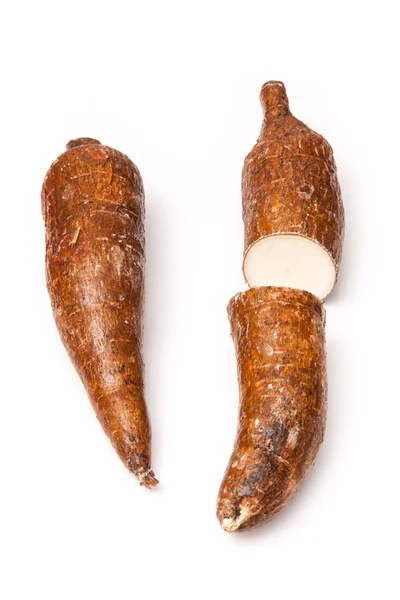 Cassava or Manioc roots (Manihot esculenta) Stock Photo by ©west1 49429381