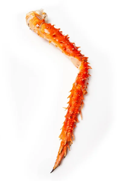 Peruvian King crab leg Stock Photo by ©west1 53355851