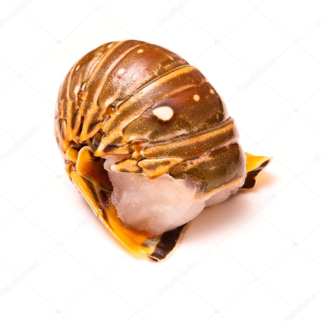 Raw Caribbean rock lobster tail Stock Photo by ©west1 98917034
