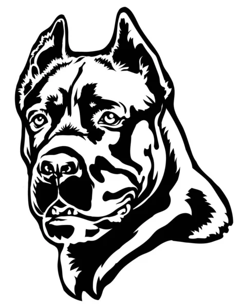 Cane corso drawing Vector Art Stock Images | Depositphotos