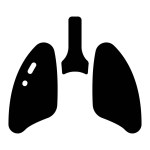 Lungs line icon. Human internal organ outline style pictogram on white ...