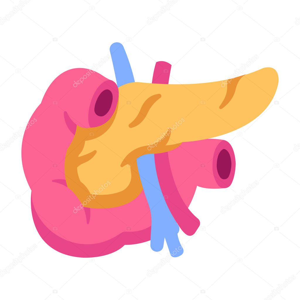 Icono del cuerpo humano, ilustración vectorial. páncreas 2023