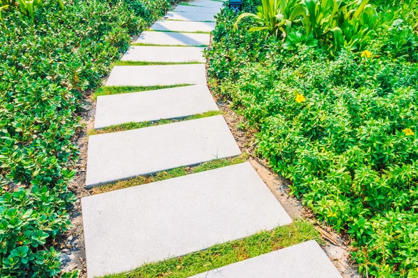 Path way for walk - Stock Image - Everypixel