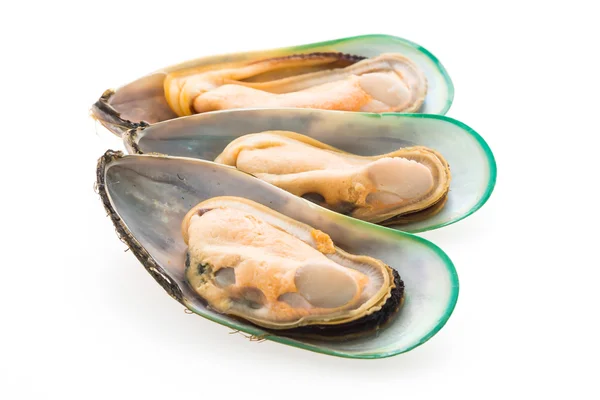 Color ostra fotos de stock, imágenes de Color ostra sin royalties ...