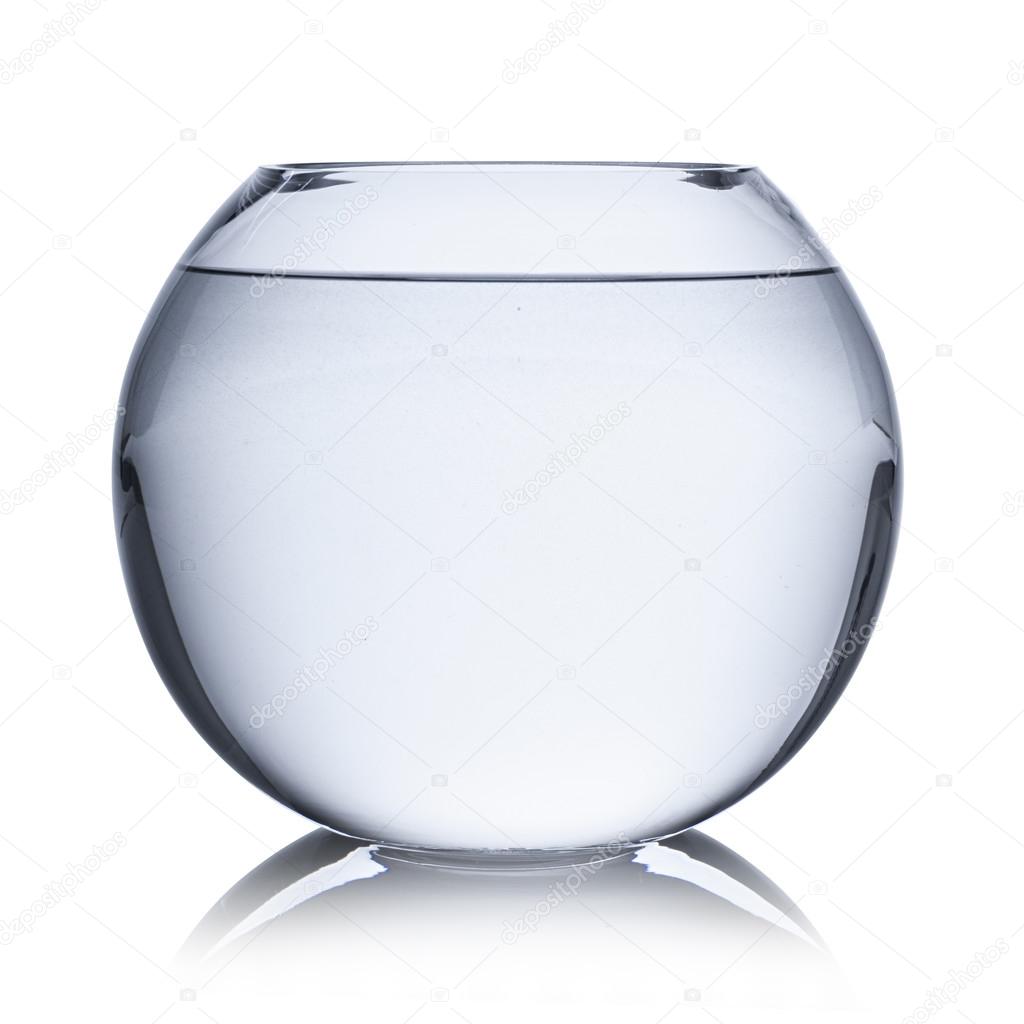 Empty Fish Bowl