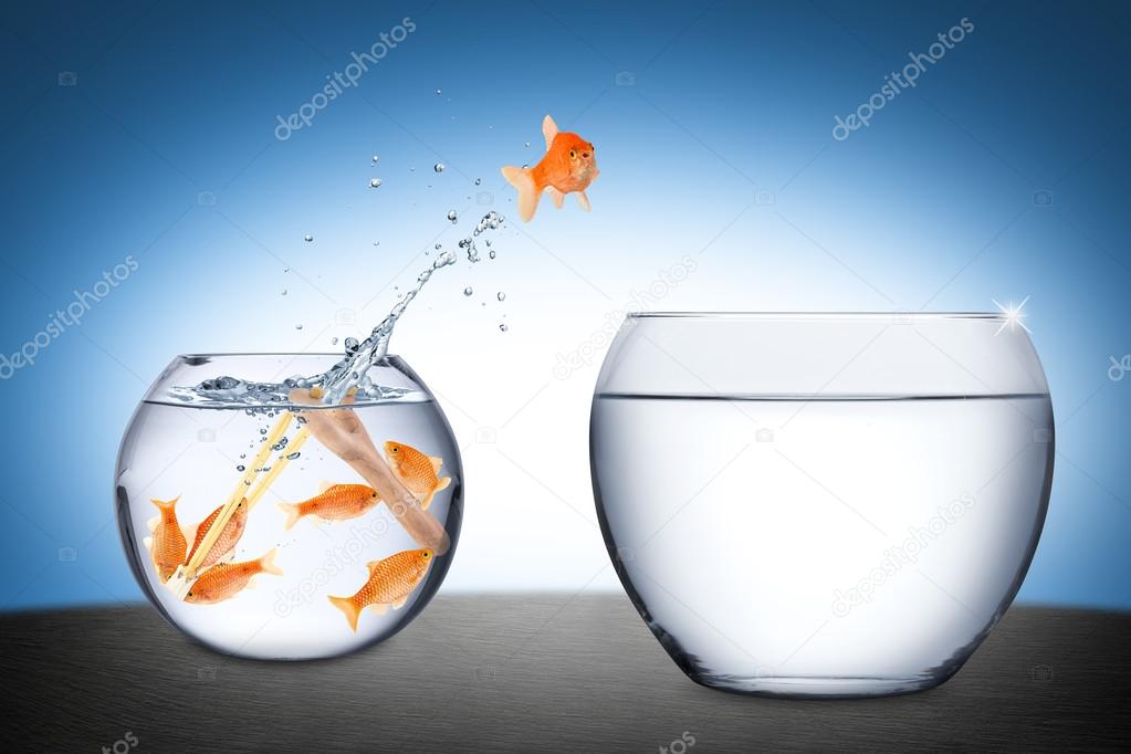 Fish teamwork concept Stock Photo by ©stockfoto-graf 74114673