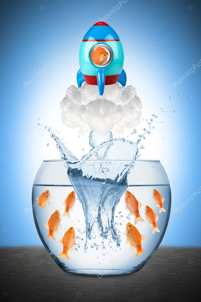 Fish rocket concept — Stock Photo © stockfoto-graf #74123585