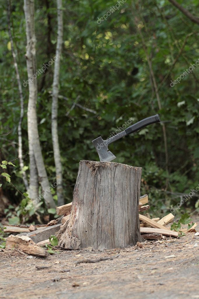 Ax stuck in a tree stump — Stock Photo © BelgSkar #87264910