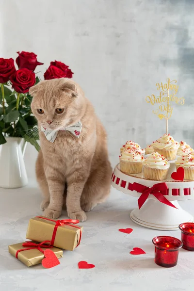 Sad Cat Birthday Cake