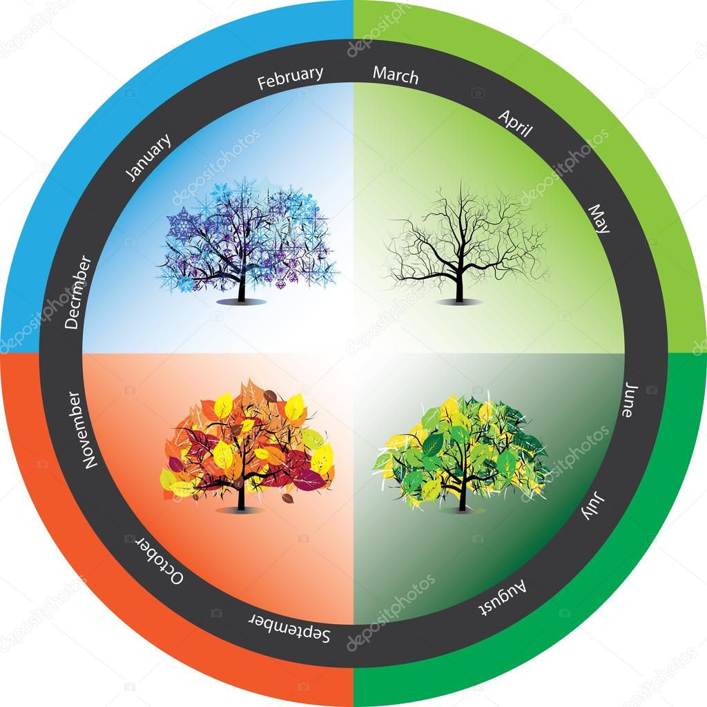 Seasons Of The Year Tree