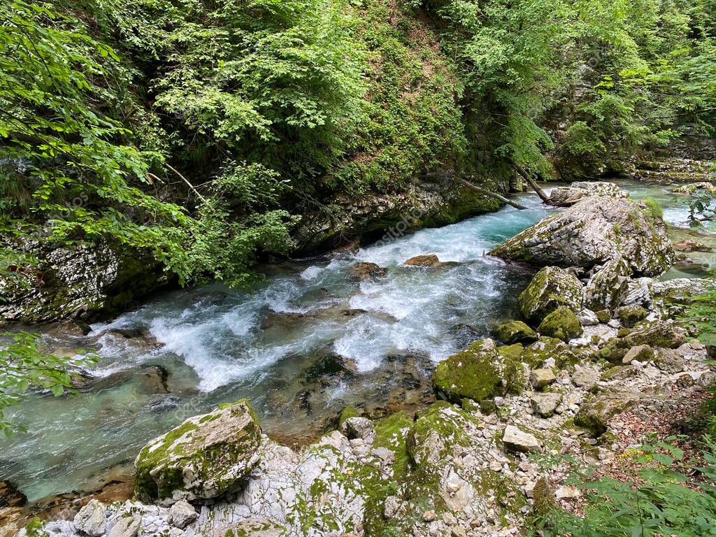 Río de montaña Radovna en la garganta de Vintgar o Garganta de Bled ...