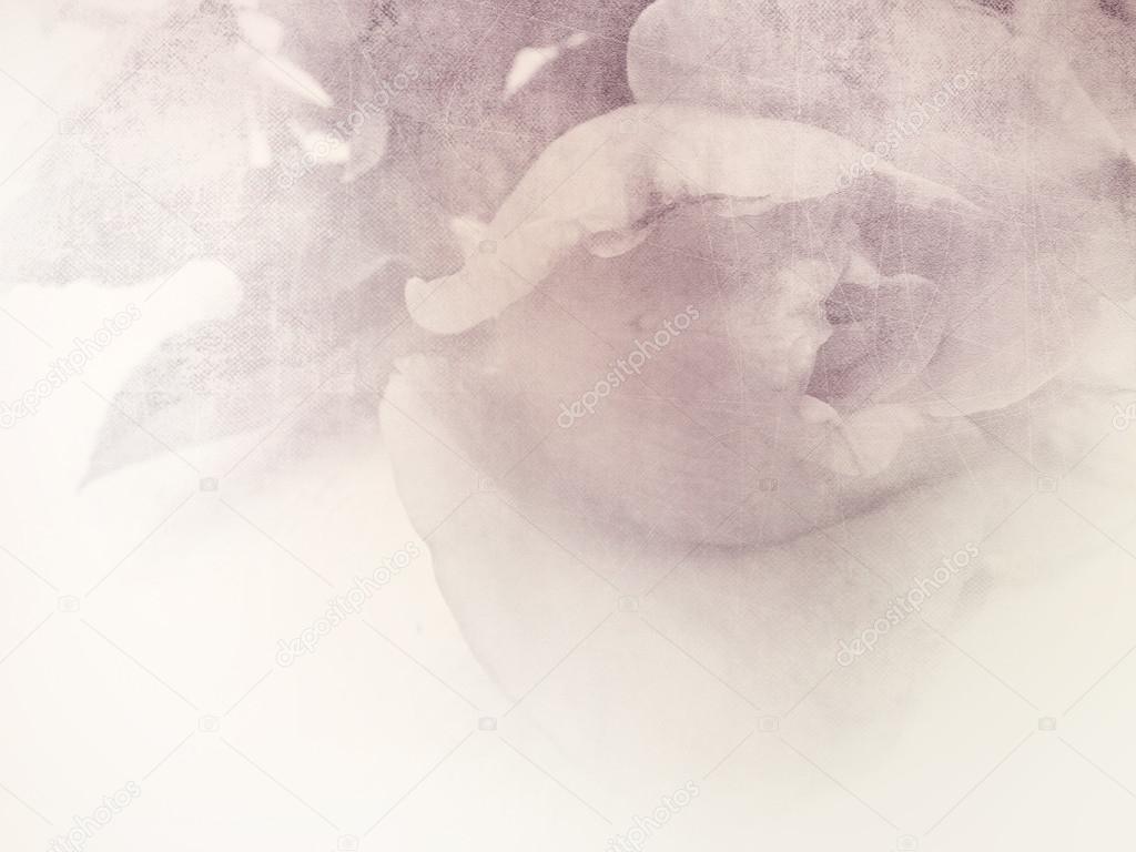 Soft rose background - vintage flower design Stock Photo by ©doozie ...