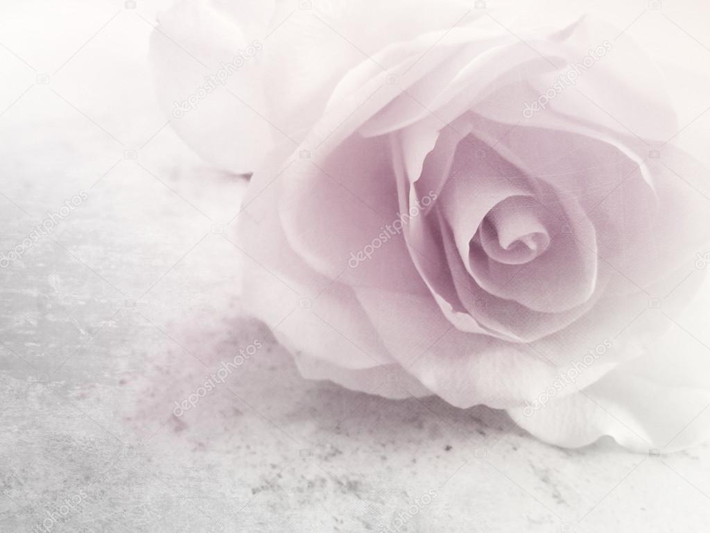 Soft rose design - vintage flower background Stock Photo by ©doozie ...