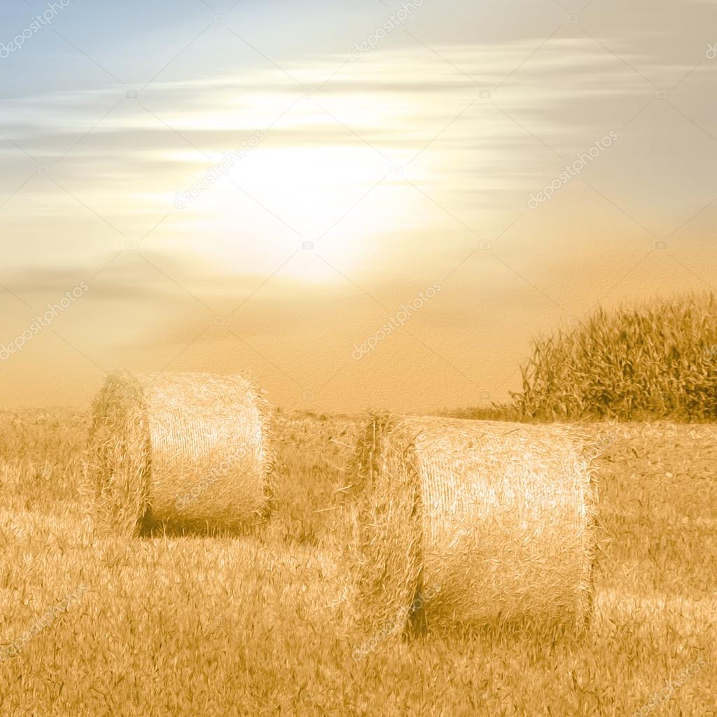 Late summer field with hay bales in warm sunlight - photo with soft oil ...