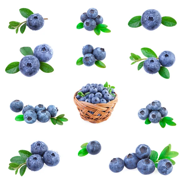 Blueberry Stock Photos, Royalty Free Blueberry Images | Depositphotos