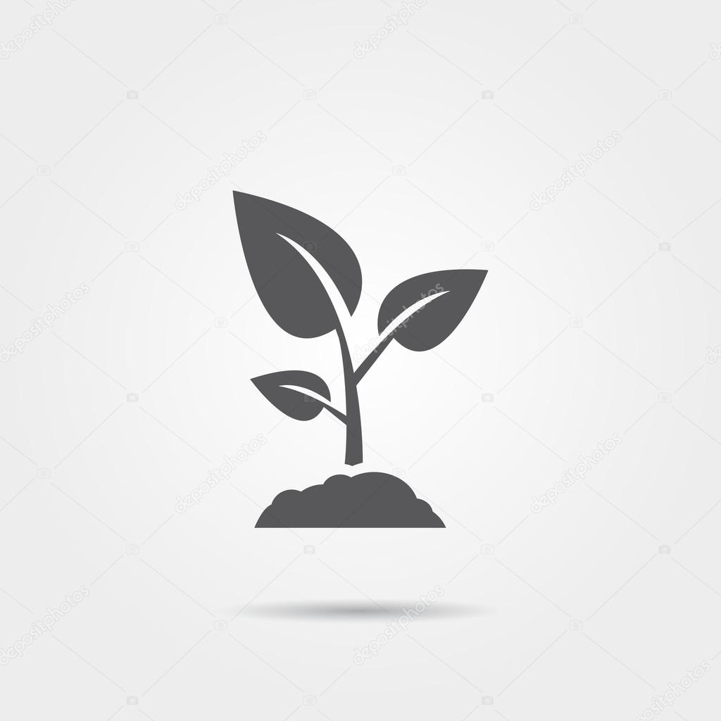 Sprout icon Stock Vector Image by ©fad82 #80721316