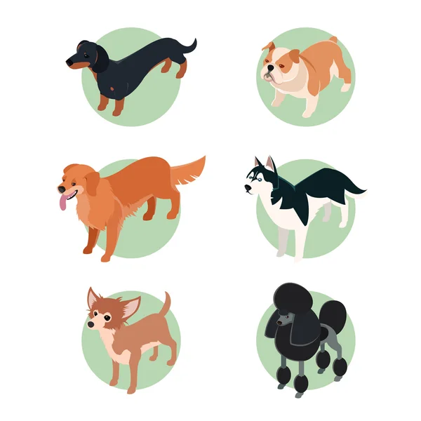 Set of Dog Round Icons Stock Vector Image by ©robuart #126351152
