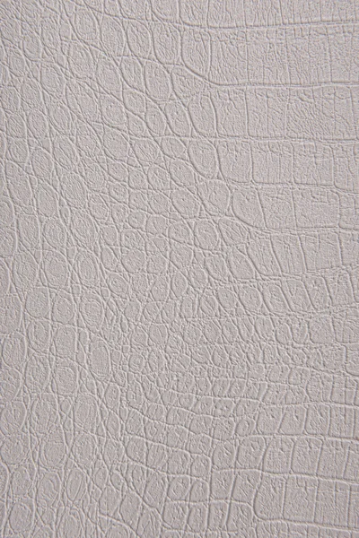 ᐈ White crocodile stock photos, Royalty Free white crocodile pattern ...