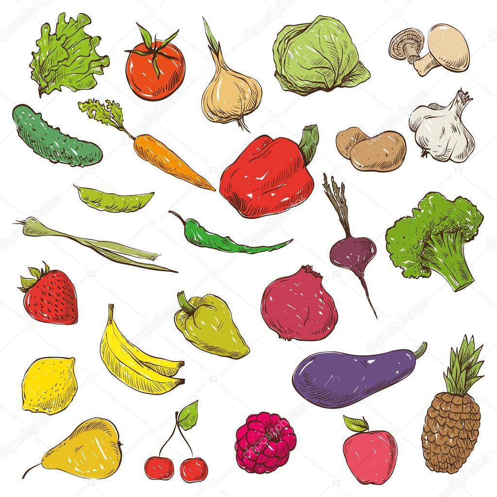 Vegetables and fruits hand drawn — Stock Vector © Roman84 #54030653