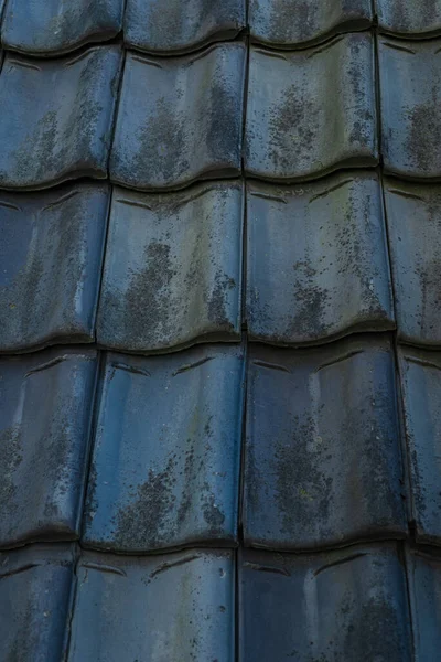 Blue roof texture Stock Photos, Royalty Free Blue roof texture Images ...