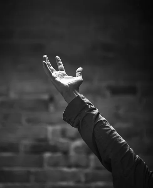 ᐈ Strive stock images, Royalty Free strive photos | download on ...